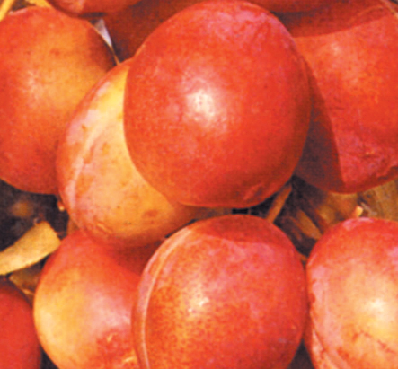 Victoria - English's Fruit NurseryEnglish's Fruit Nursery