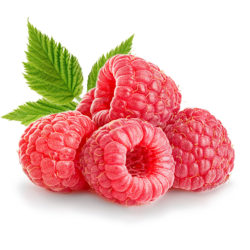 Raspberry plants for Sale ireland | Irish Raspberries Englishs Fruit ...