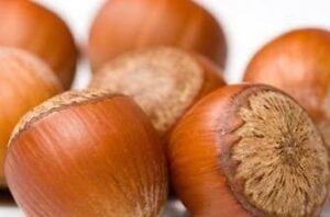 Halls Giant - English's Fruit Nursery